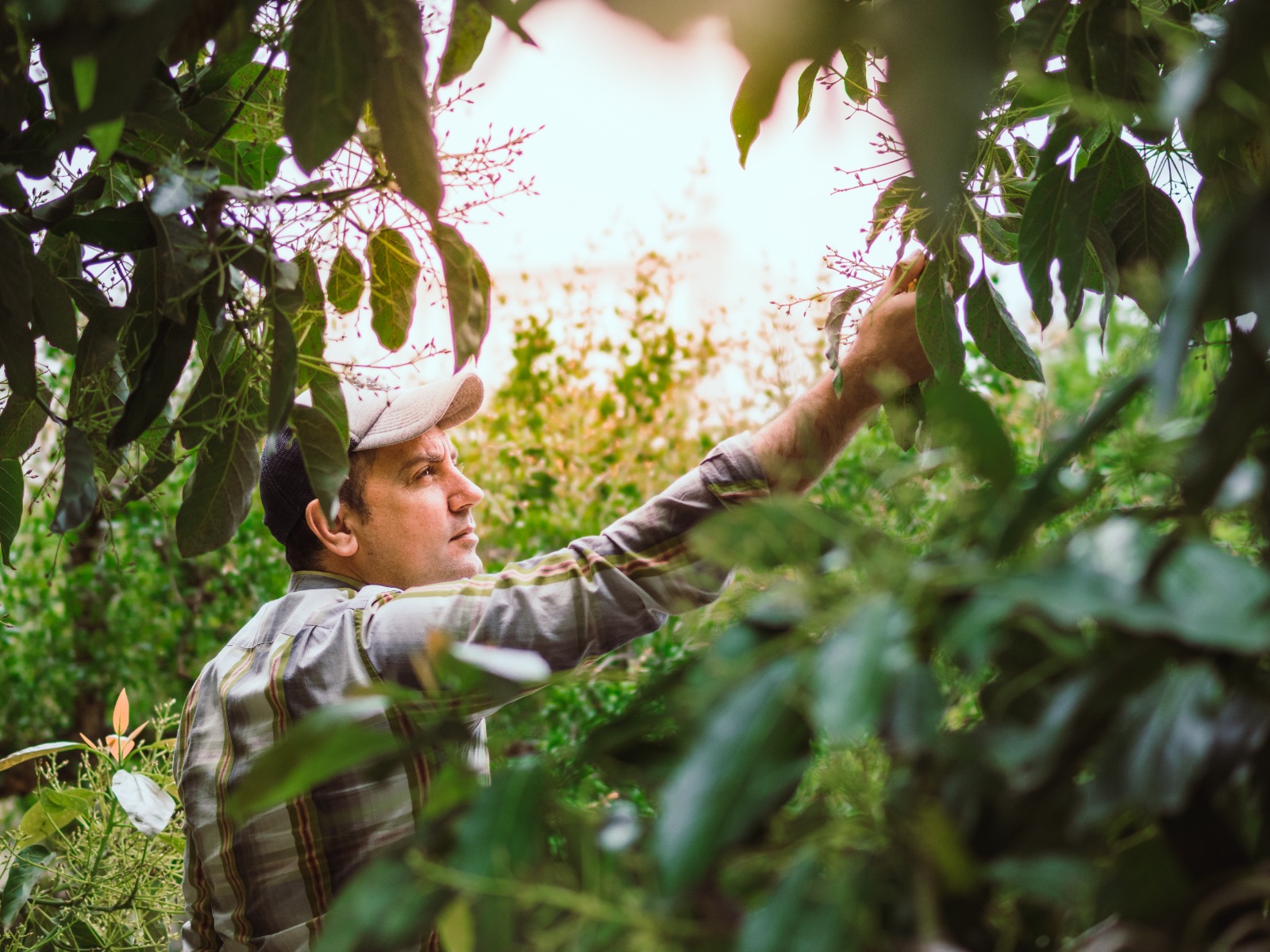 La nueva generación de agricultores que pone la sustentabilidad al ...